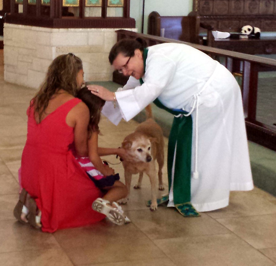 Blessing of the Animals - St. Stephens Episcopal Church